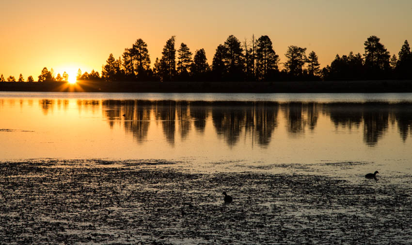 Carnero Lake | kritterspix